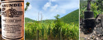 Callwood Cane Rum