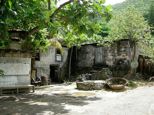 Callwood Cane Rum